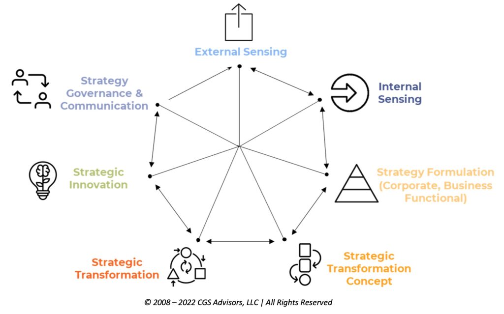 CGS Strategy Wheel - 1 - CGS Advisors